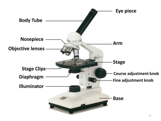 compound microscope (basic) | PPTX