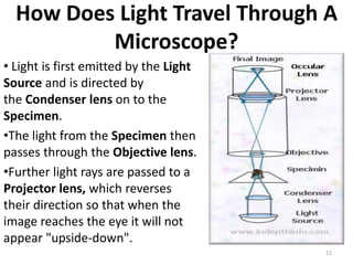 compound microscope (basic) | PPTX