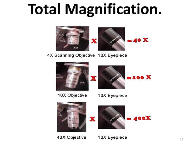 compound microscope (basic) | PPTX