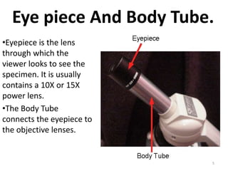 compound microscope (basic) | PPTX