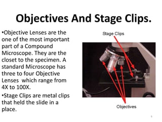 compound microscope (basic) | PPTX