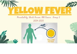 Yellow Fever: Causes, Symptoms, Prevention, and Treatment | PPTX