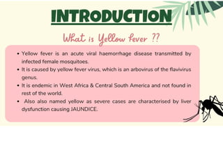 Yellow Fever: Causes, Symptoms, Prevention, and Treatment | PPTX