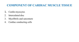 ppt cadiac muscle.pptx to increase knowledge and awareness | PPTX