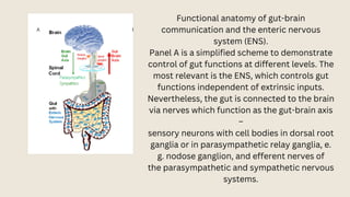 Shruti_ppt_physiilogy.pdf enteric nervous system | PPT
