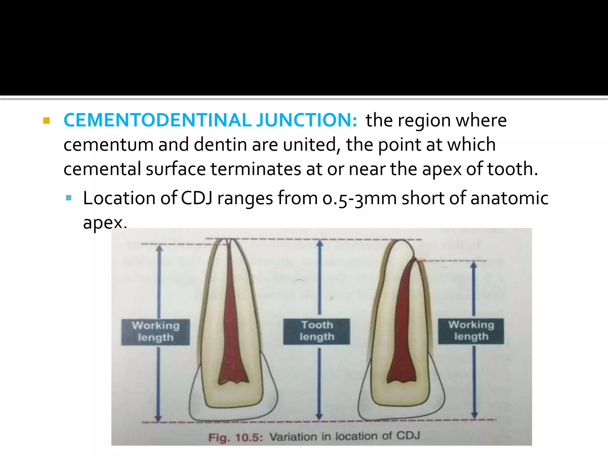 working length | PPTX