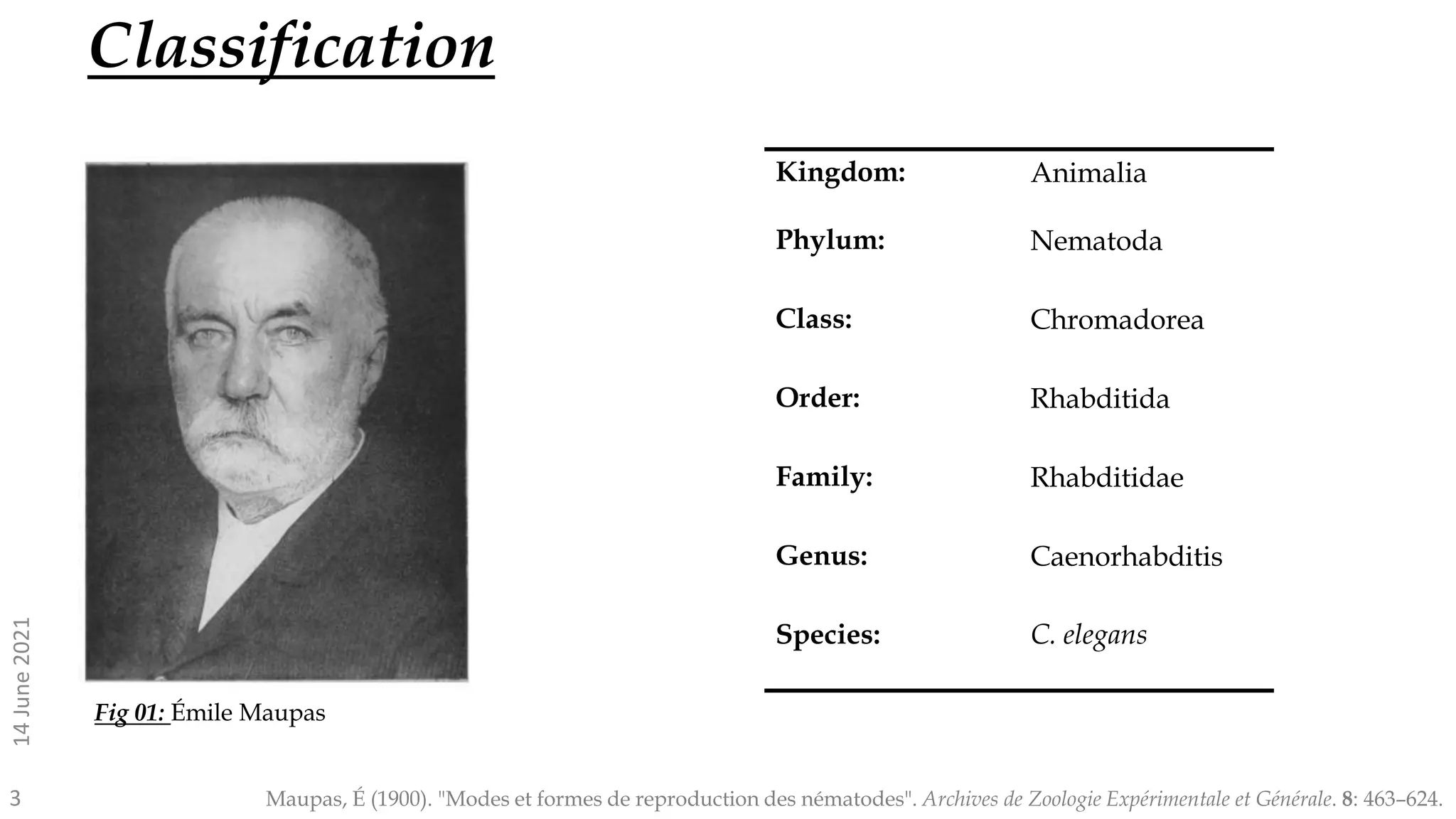 Caenorhabditis elegans | PPTX