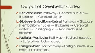 SHS.202 Lec-06 CNS.pdf