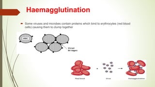 BSNS Virology & Parasitology Lecture no-3 | PPTX