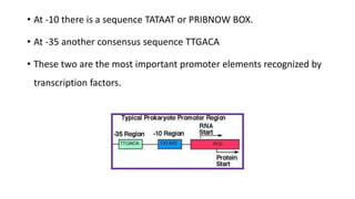SHS-363-Lec-05.pptx hjhtuijgffffjkkkknwwex | PPT