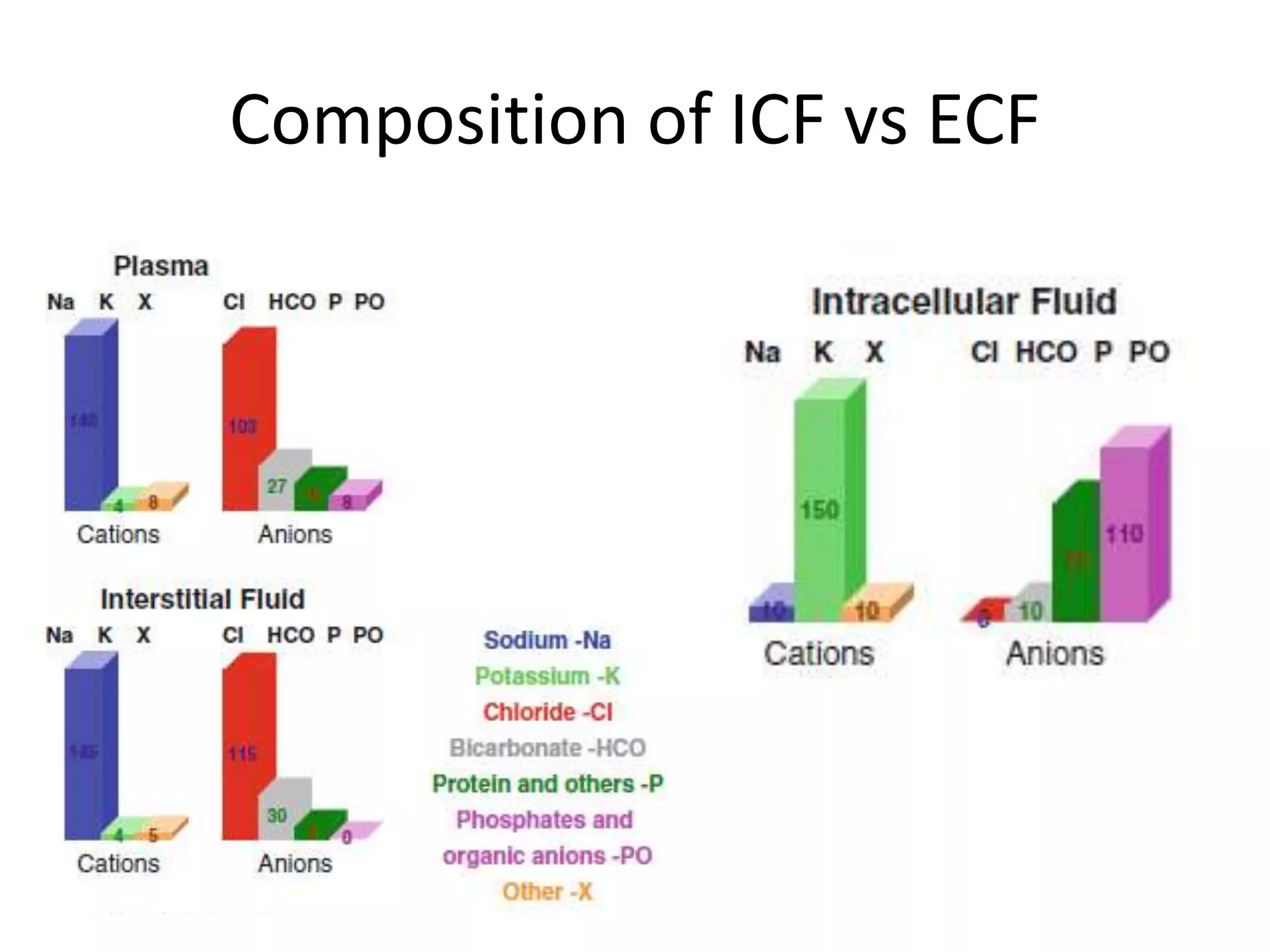 (SH)sodium homeostasisSH jo.pptx