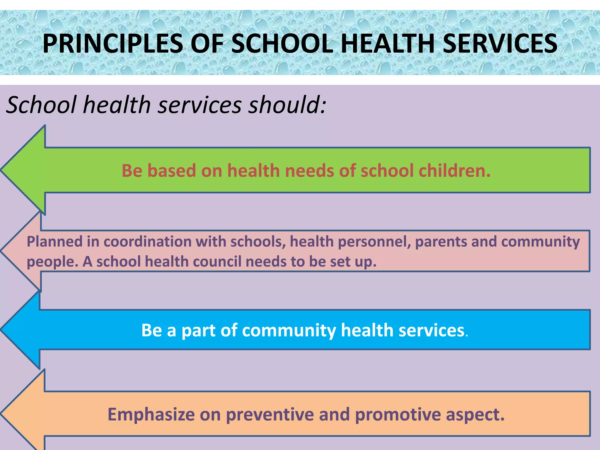 SCHOOL HEALTH SERVICES | PPTX