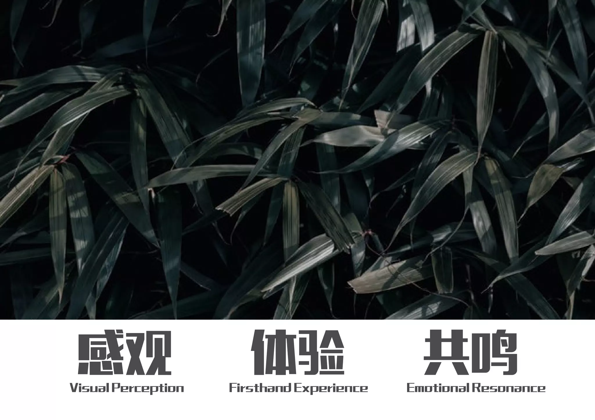 Shuang Ouyang_A research study on bamboo weaving in landscape design ...