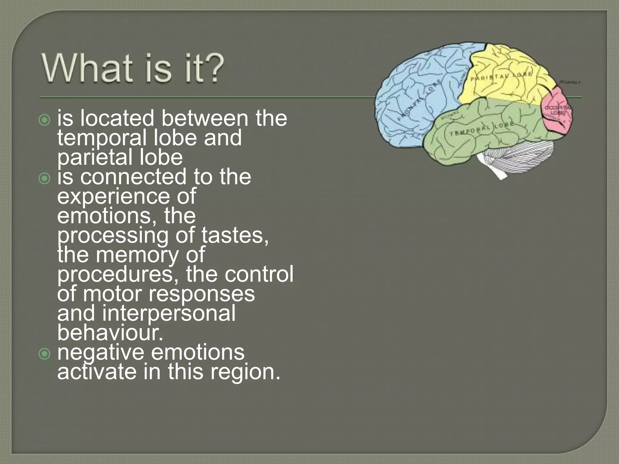 The Insular Cortex | PPTX
