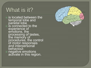 Neuroanatomy Insular Cortex Diagrams Image