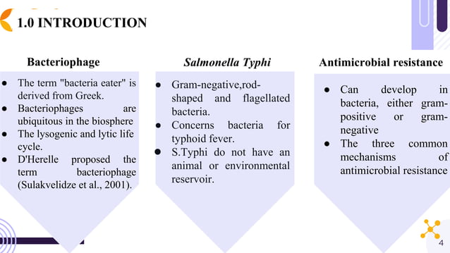 Isolation And Evaluation Of Bacteriophages Against Salmonella Typhi Ppt