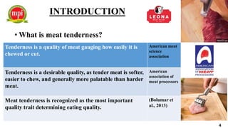 Application of shock wave and hydrostatic pressure for meat ...