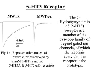 5-Hydroxytrptamine & it's Antagonist | PPTX