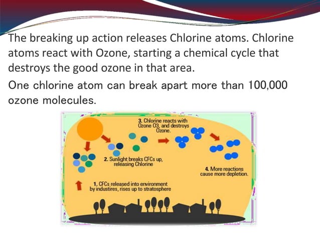 shubham.pptx for students gathering knowledge | PPT