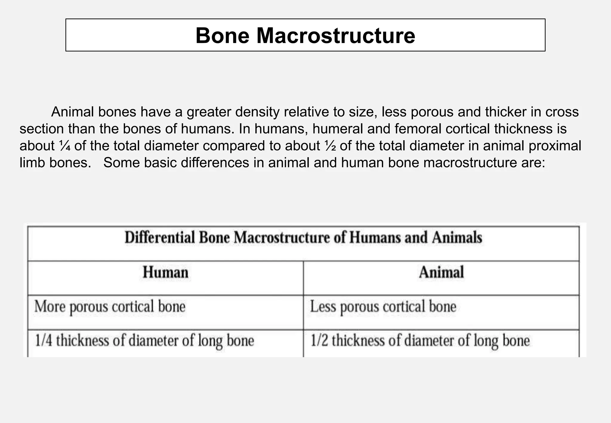 Antropological Comparision Between Human and Non-human Skeleton Remains ...