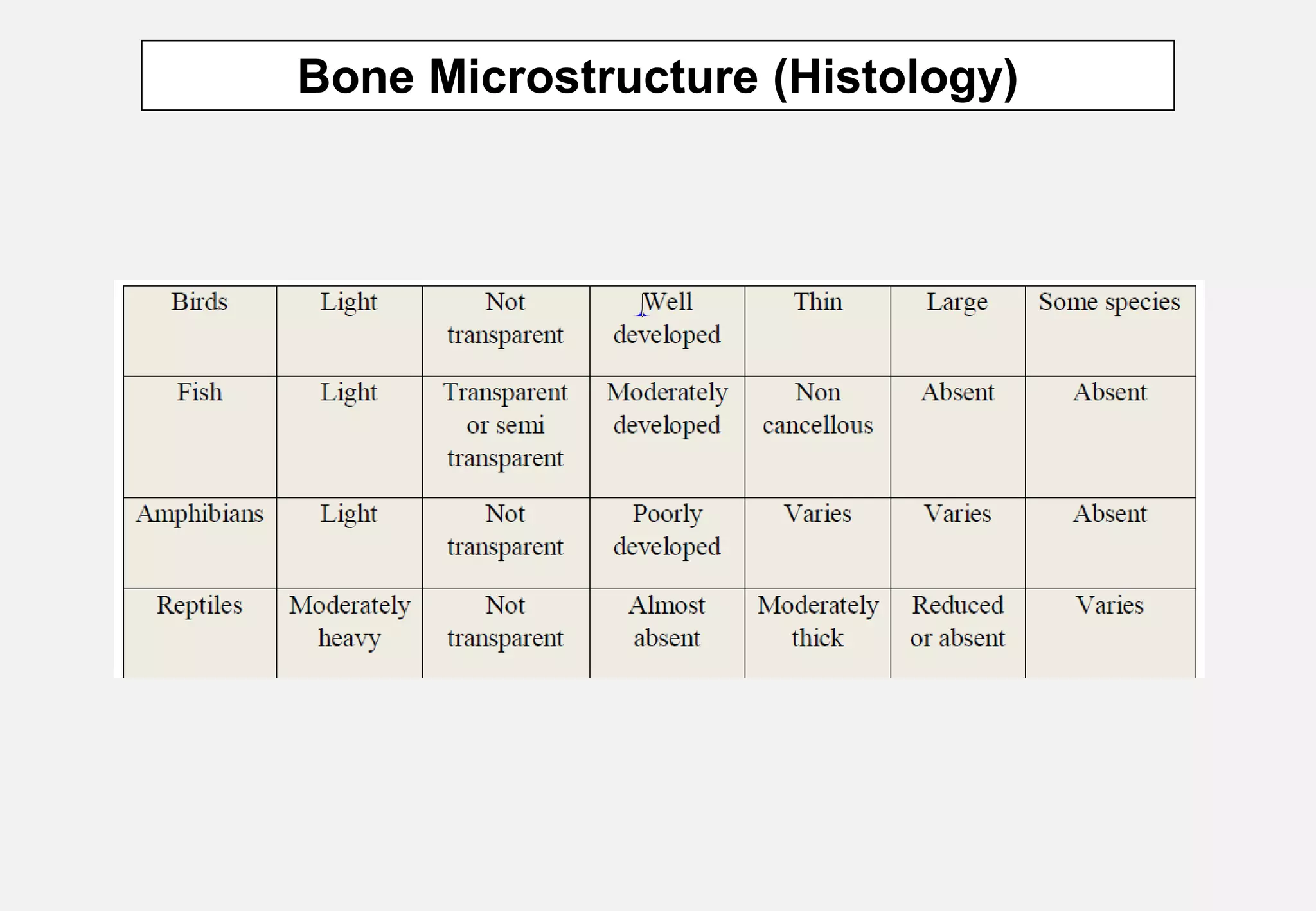 Antropological Comparision Between Human and Non-human Skeleton Remains ...