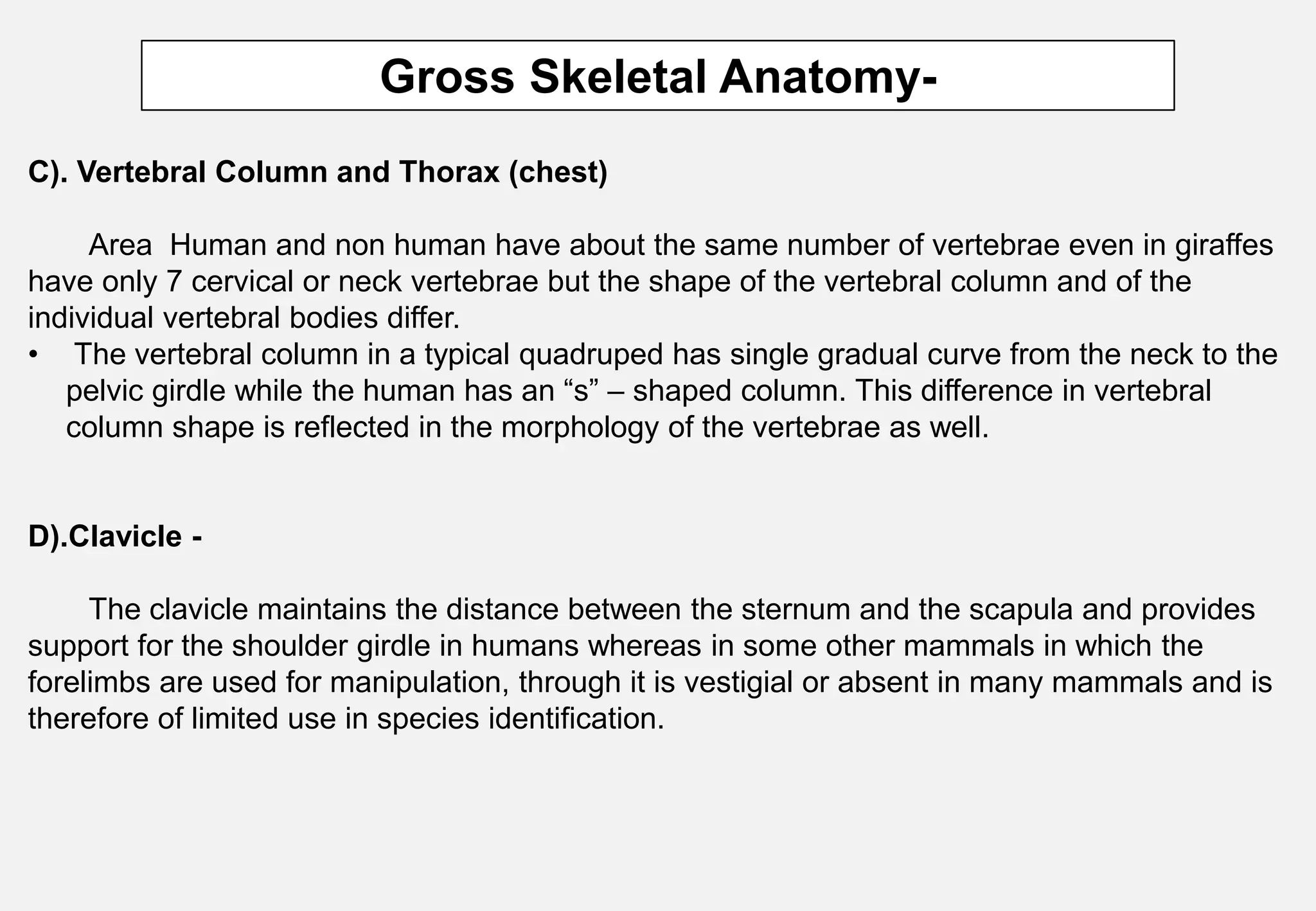 Antropological Comparision Between Human and Non-human Skeleton Remains ...