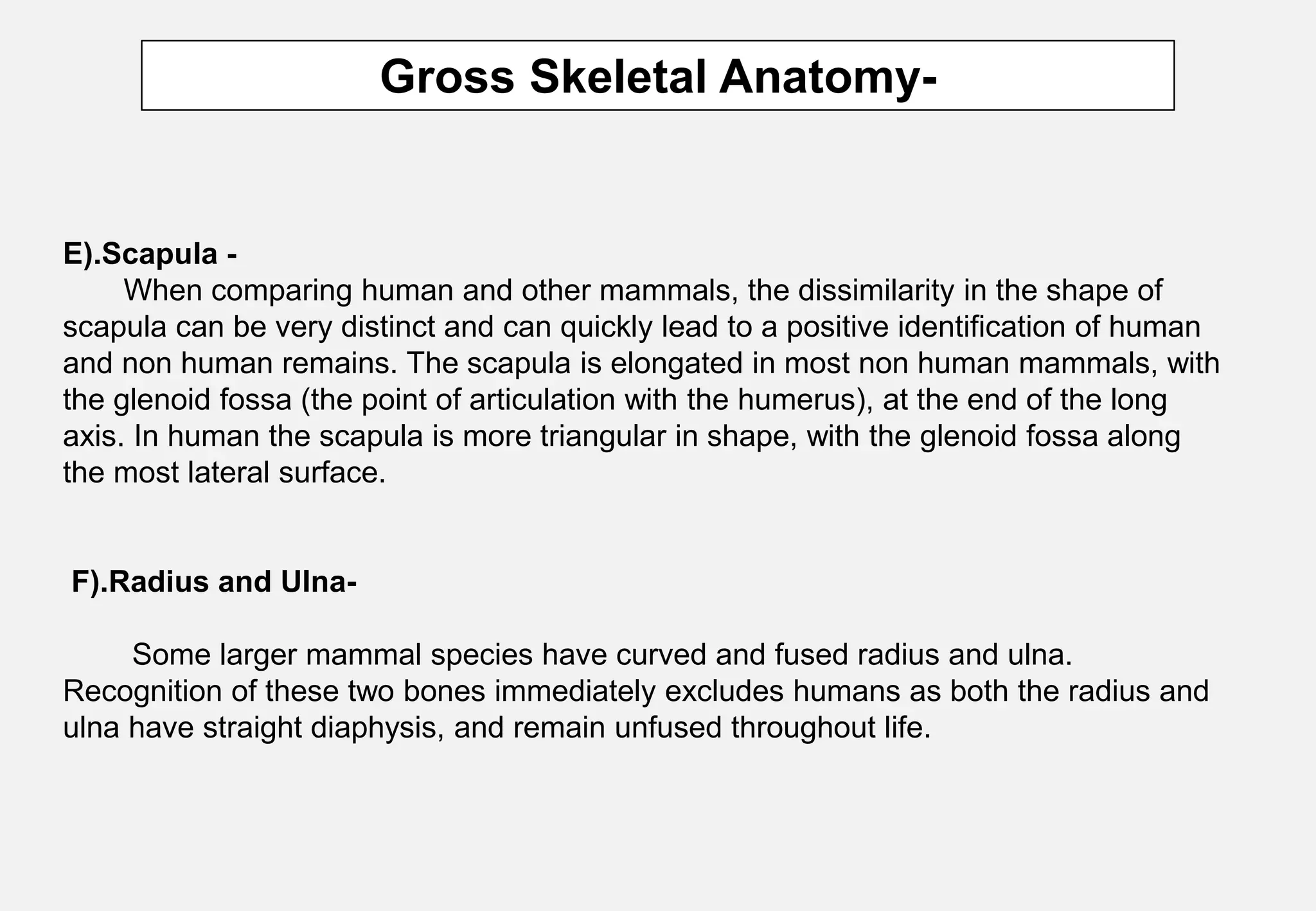 Antropological Comparision Between Human and Non-human Skeleton Remains ...
