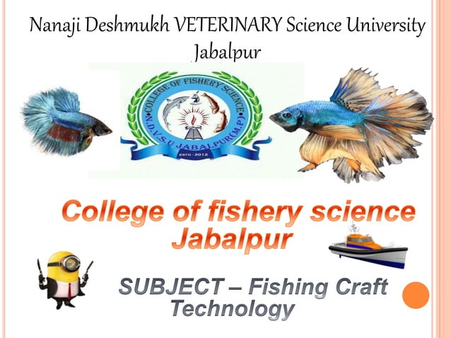 Hisrory and devlopment of mechanized fishing craft technology | PPTX ...