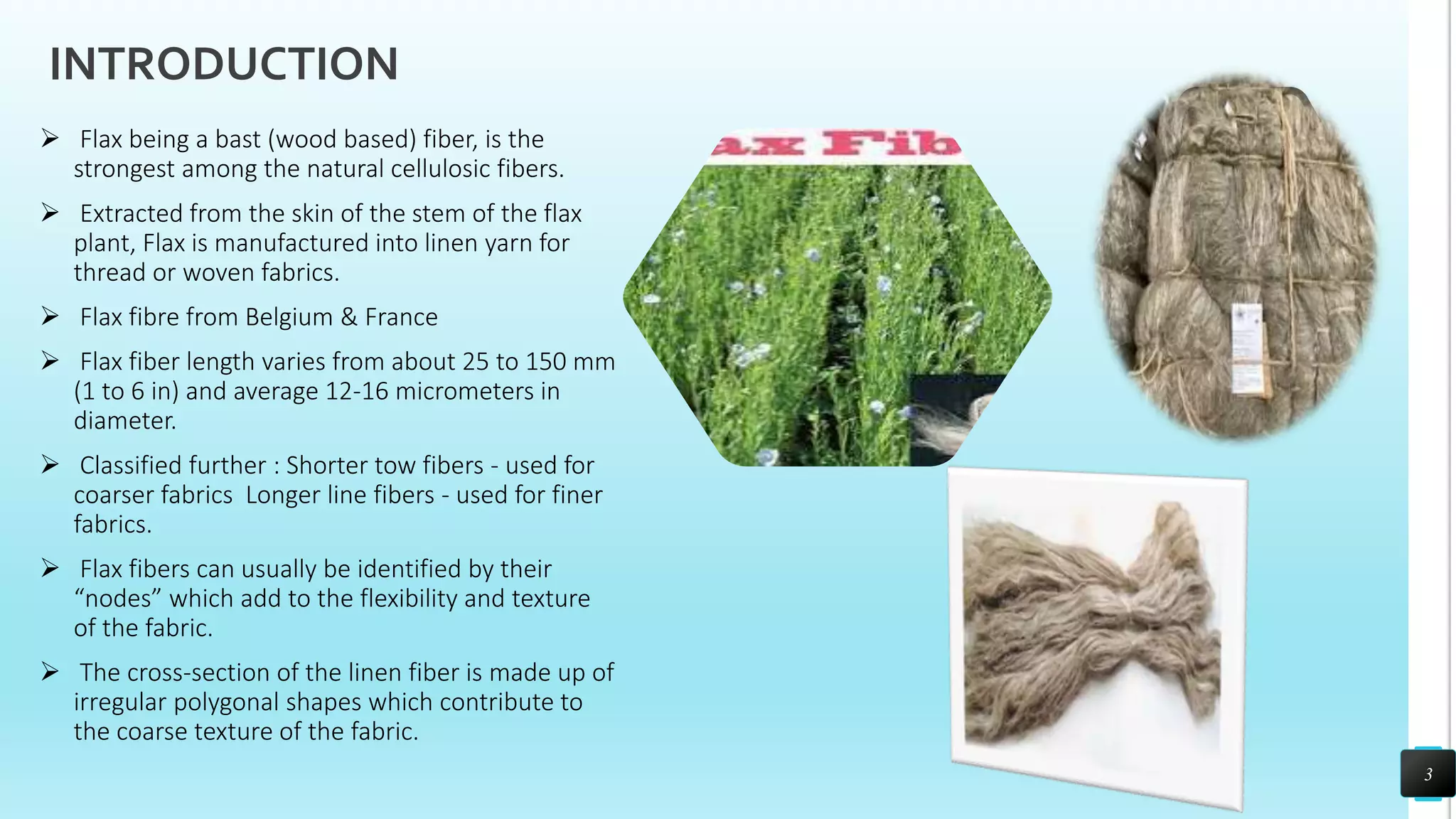 Introduction of Linen : Fibre to Fabric | PPTX