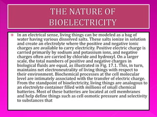 ORIGIN OF BIOELECTRICITY | PPTX