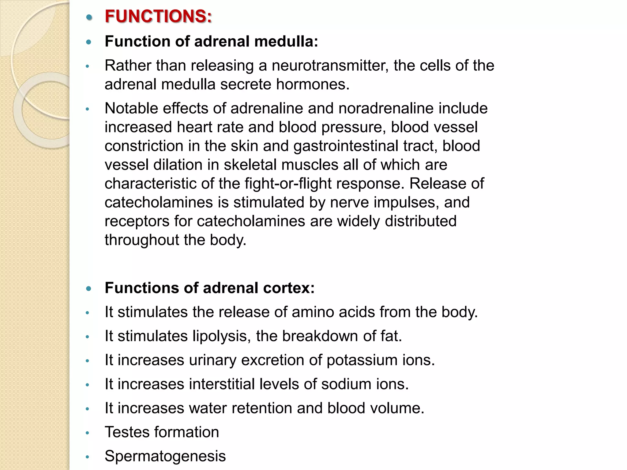 Adrenal Gland | PPTX