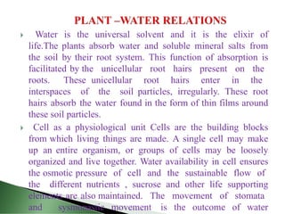 Plant physiology and metabolism ppt.pptx