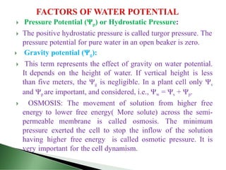Plant physiology and metabolism ppt.pptx