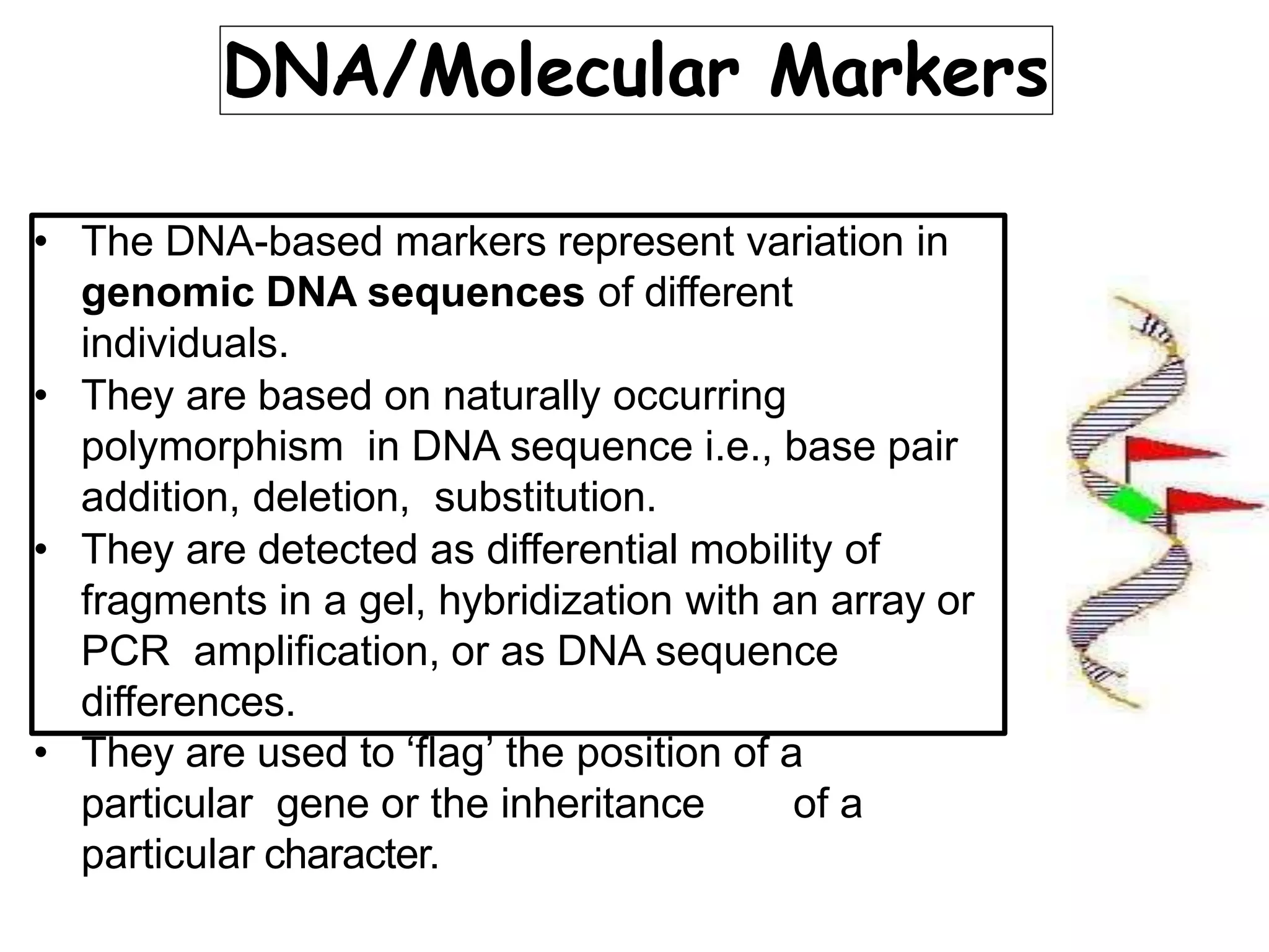 Application of molecular markers in Plant Breeding | PPTX