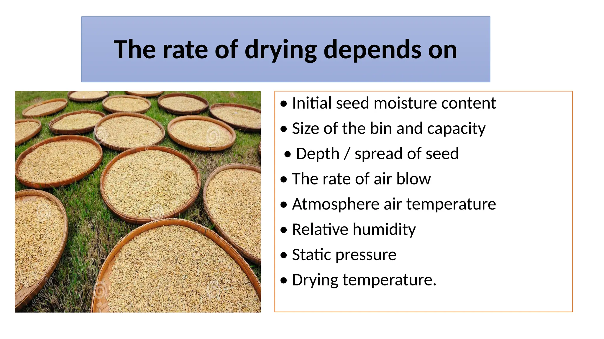 Seed Processing and Storage- Seed Drying | PPTX