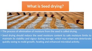 Seed Processing and Storage- Seed Drying | PPTX