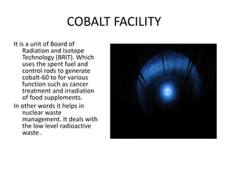 Nuclear Power Plant PPT | PPTX | Chemistry | Science