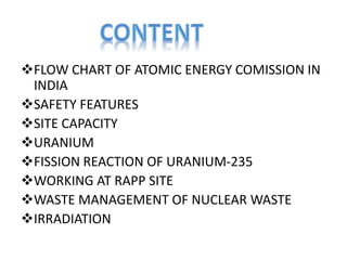 Nuclear Power Plant PPT | PPTX | Chemistry | Science