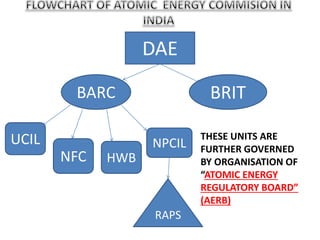 Nuclear Power Plant PPT | PPTX
