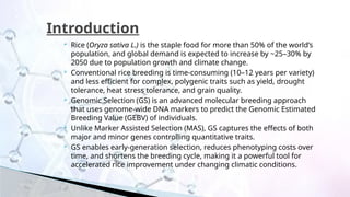 Genomic Selection(GS) it's application and future prospects in rice ...