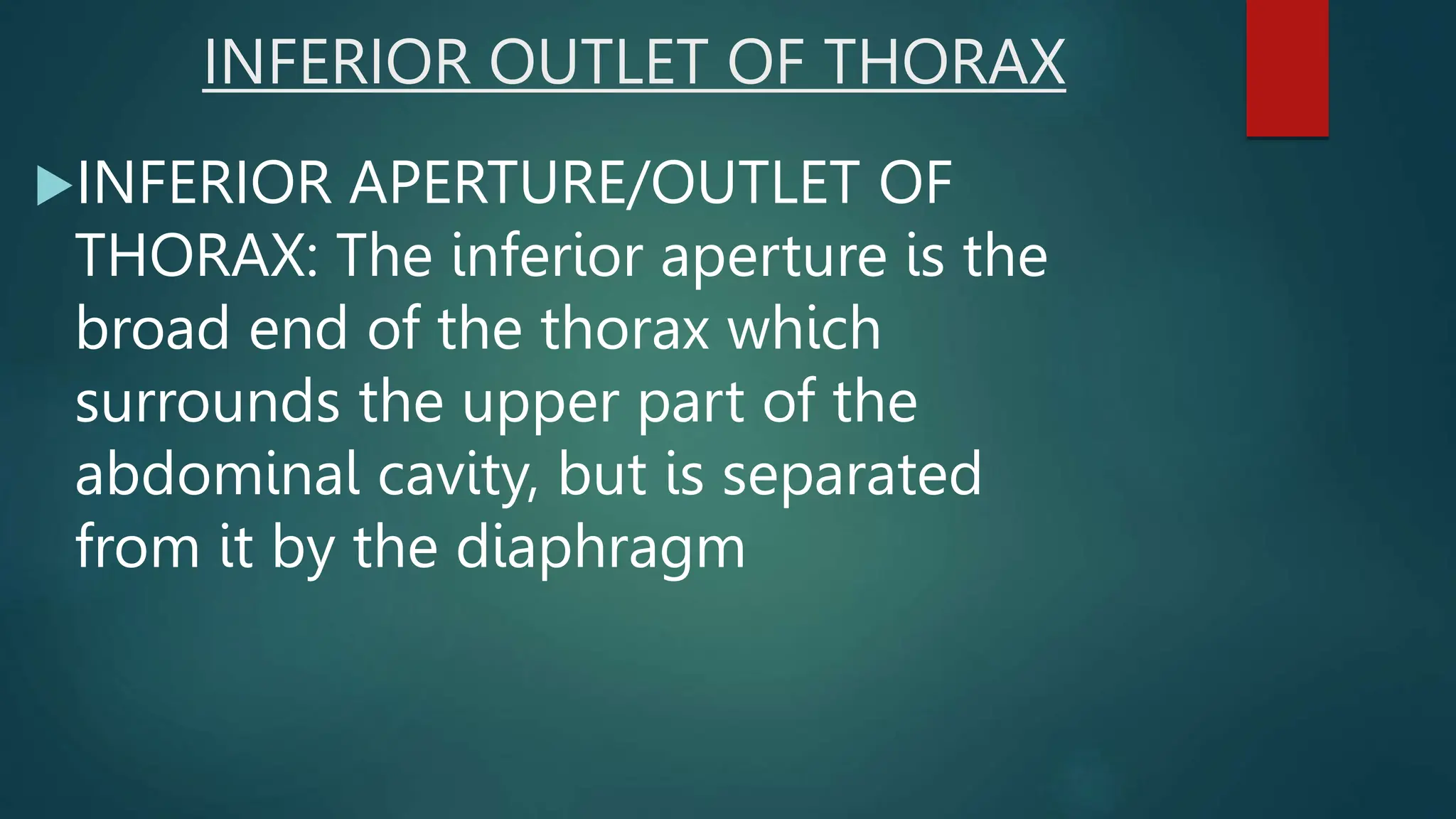 Inlets and outlets of thorax anatomy presentation | PPTX