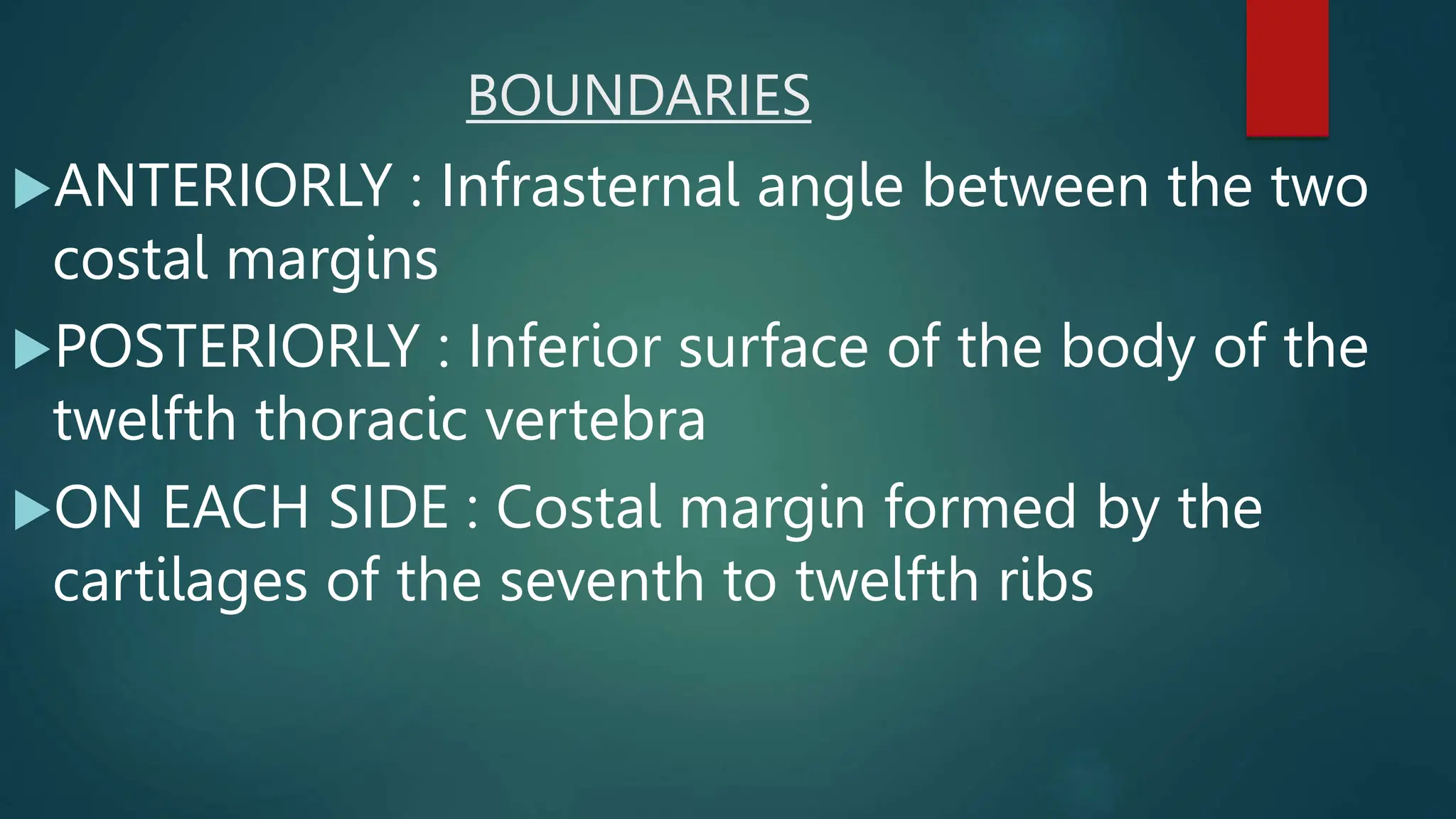 Inlets and outlets of thorax anatomy presentation | PPTX
