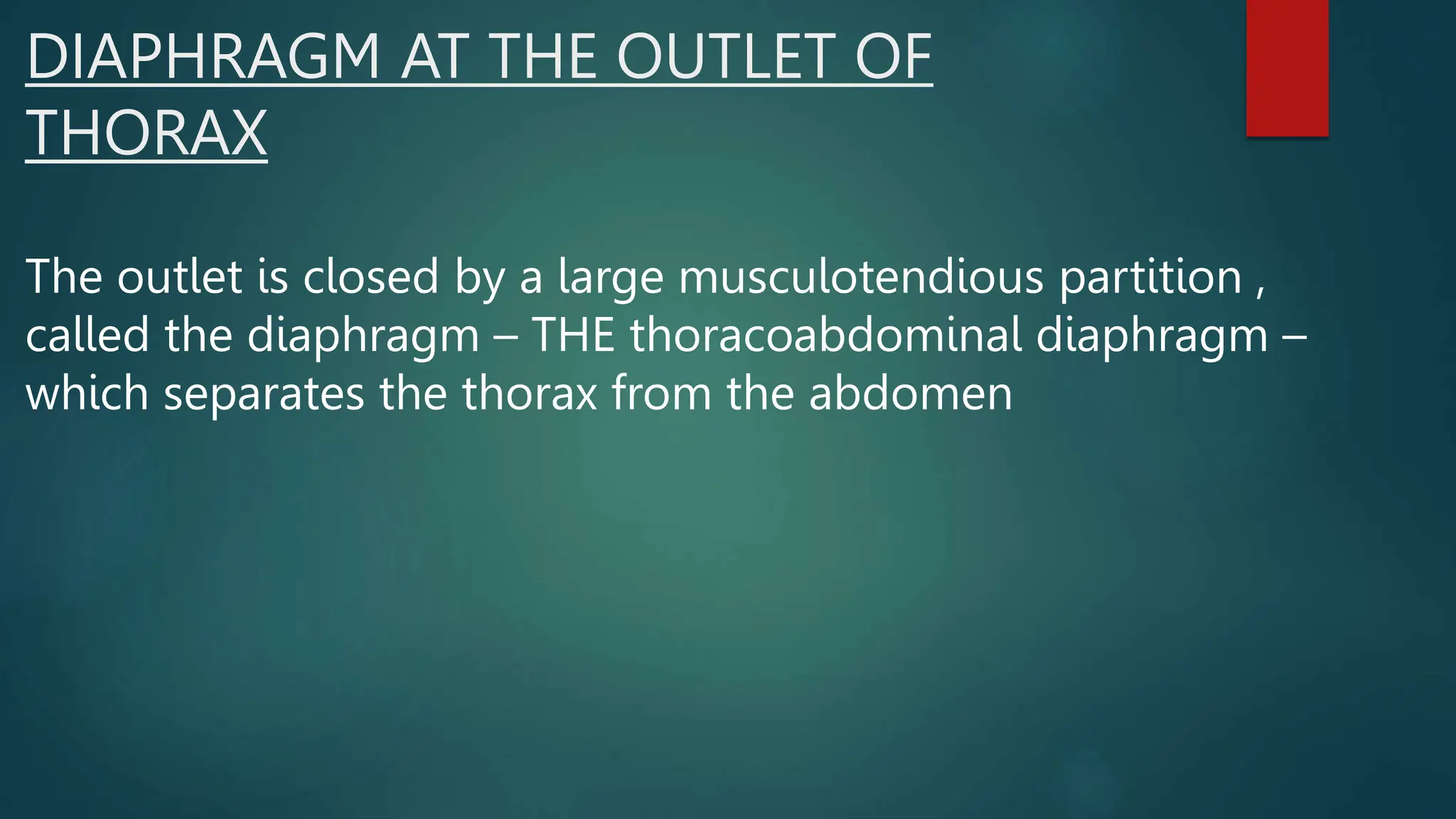 Inlets and outlets of thorax anatomy presentation | PPTX