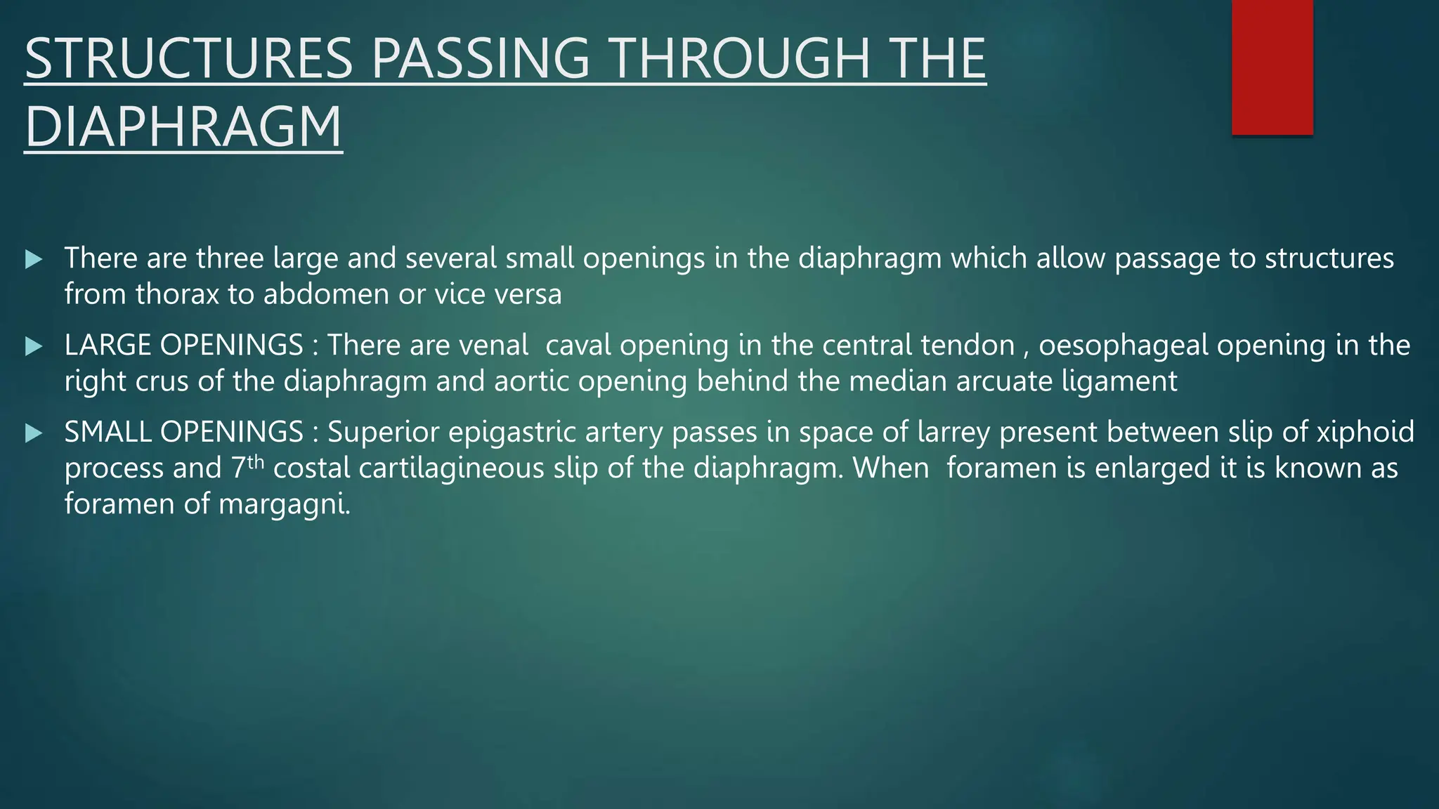 Inlets and outlets of thorax anatomy presentation | PPTX