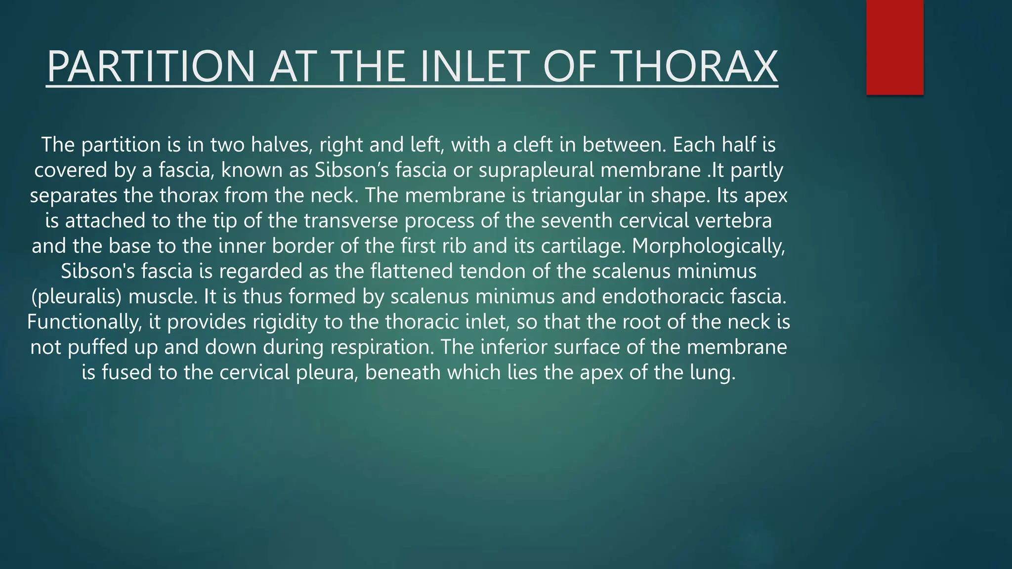 Inlets and outlets of thorax anatomy presentation | PPTX
