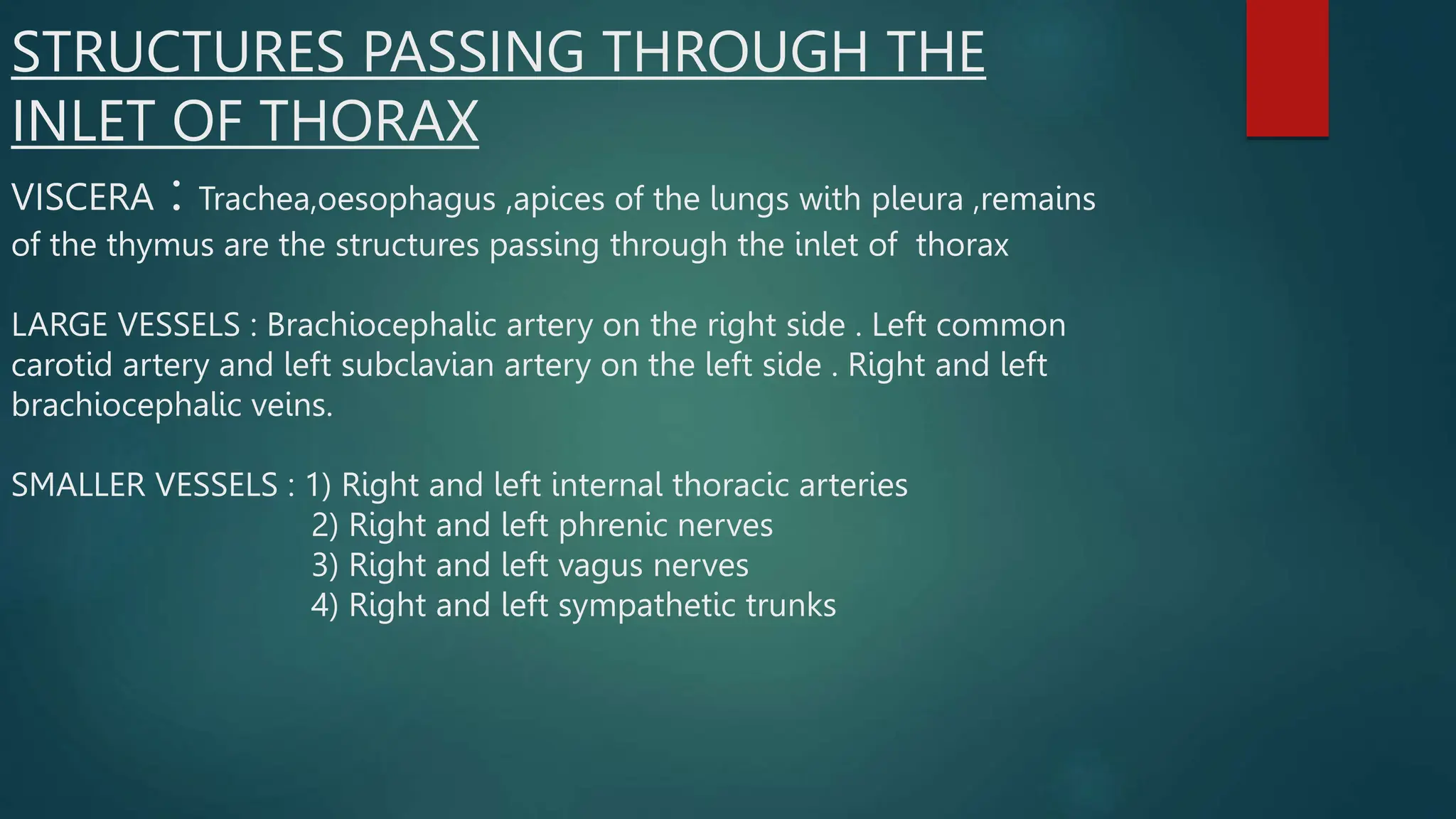 Inlets and outlets of thorax anatomy presentation | PPTX