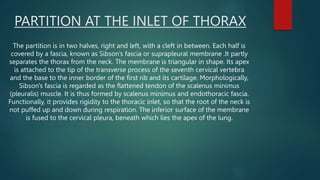 Inlets and outlets of thorax anatomy presentation | PPTX