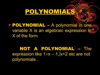Shubhanshu math project work , polynomial | PPT