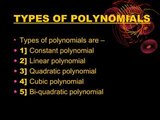 Shubhanshu math project work , polynomial | PPT