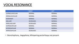 Respiratory examination presentation.pdf